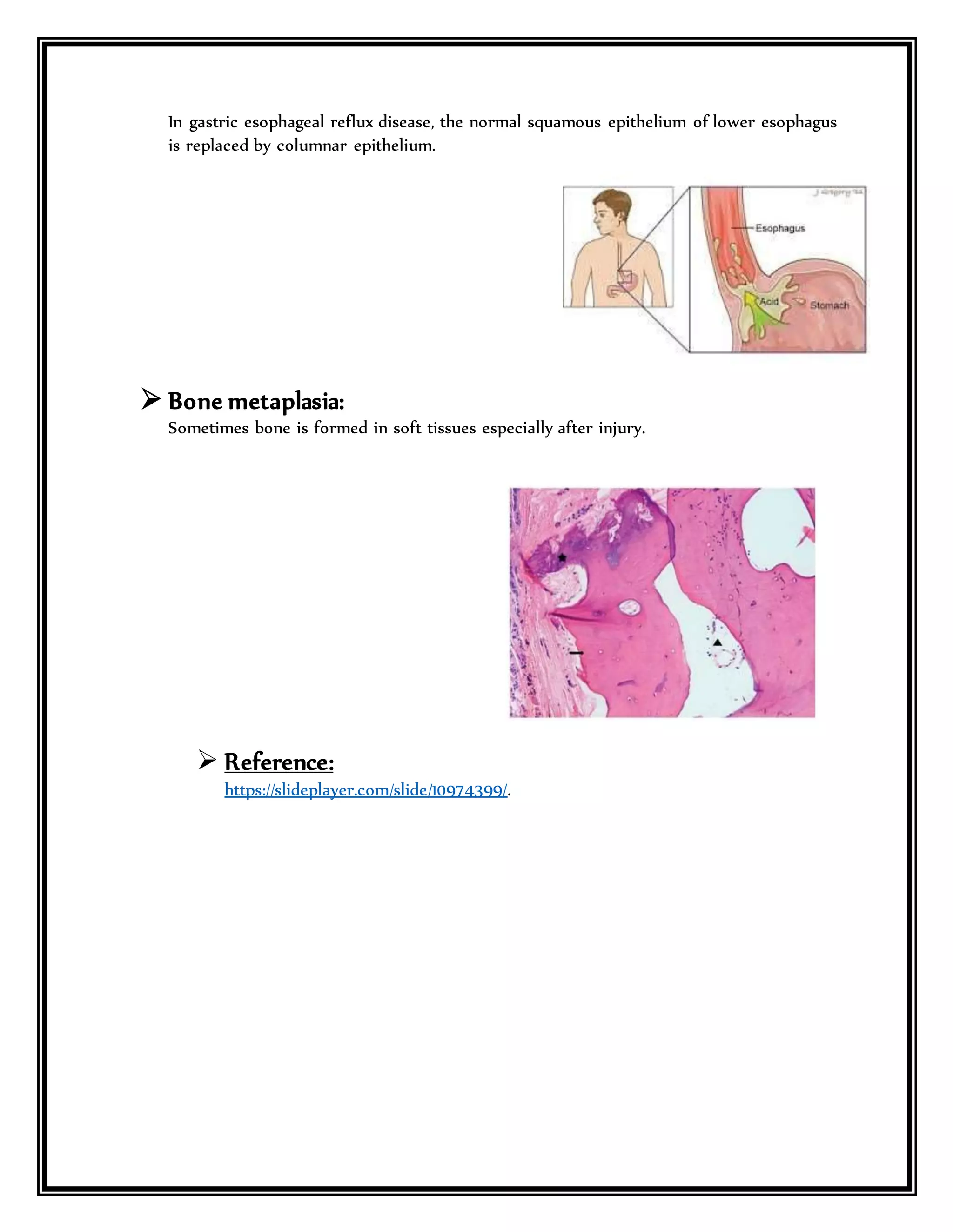 Cellular adaptation | DOCX