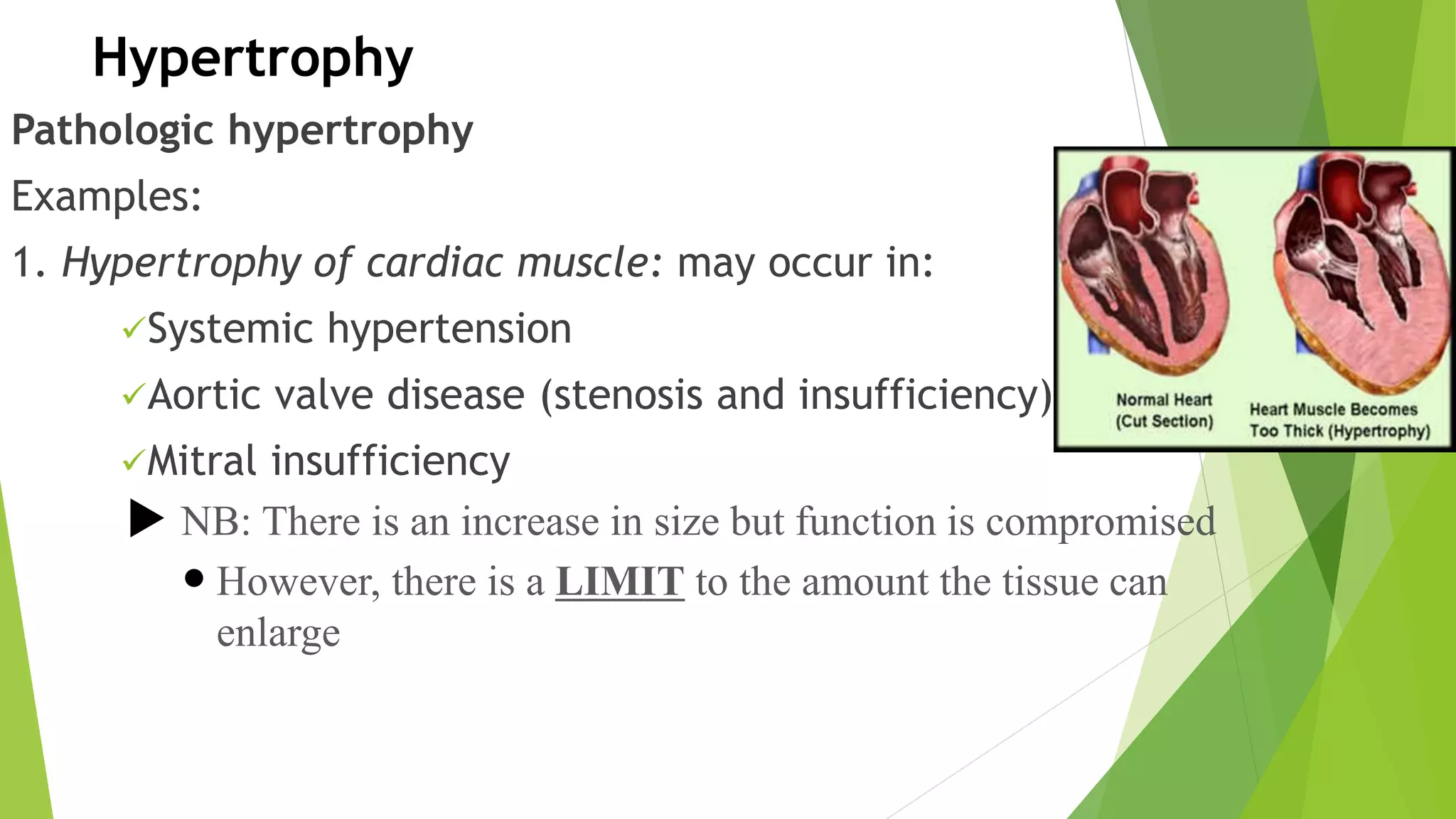 Cellular Adaptation.pptx
