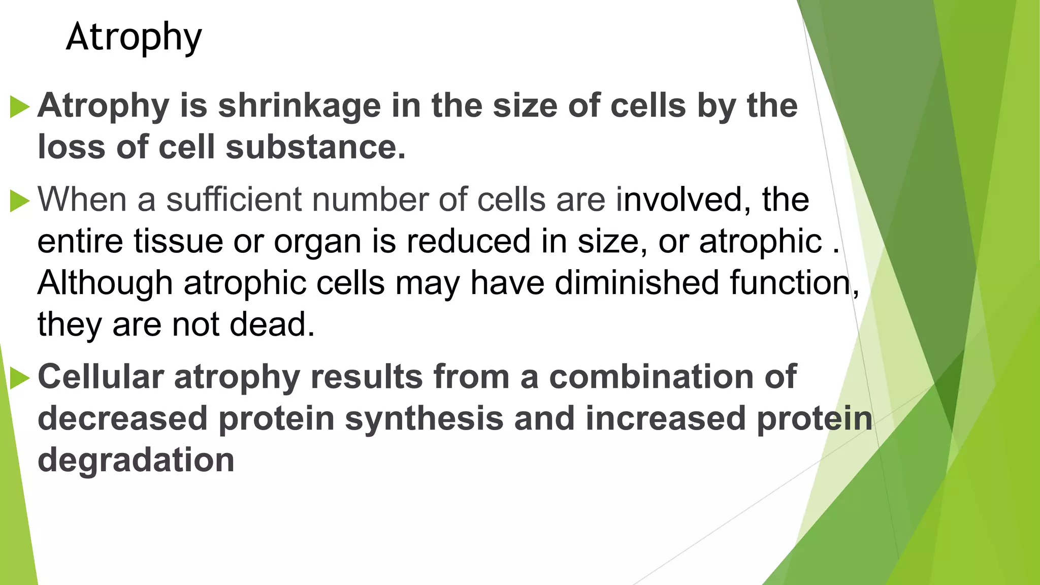 Cellular Adaptation.pptx