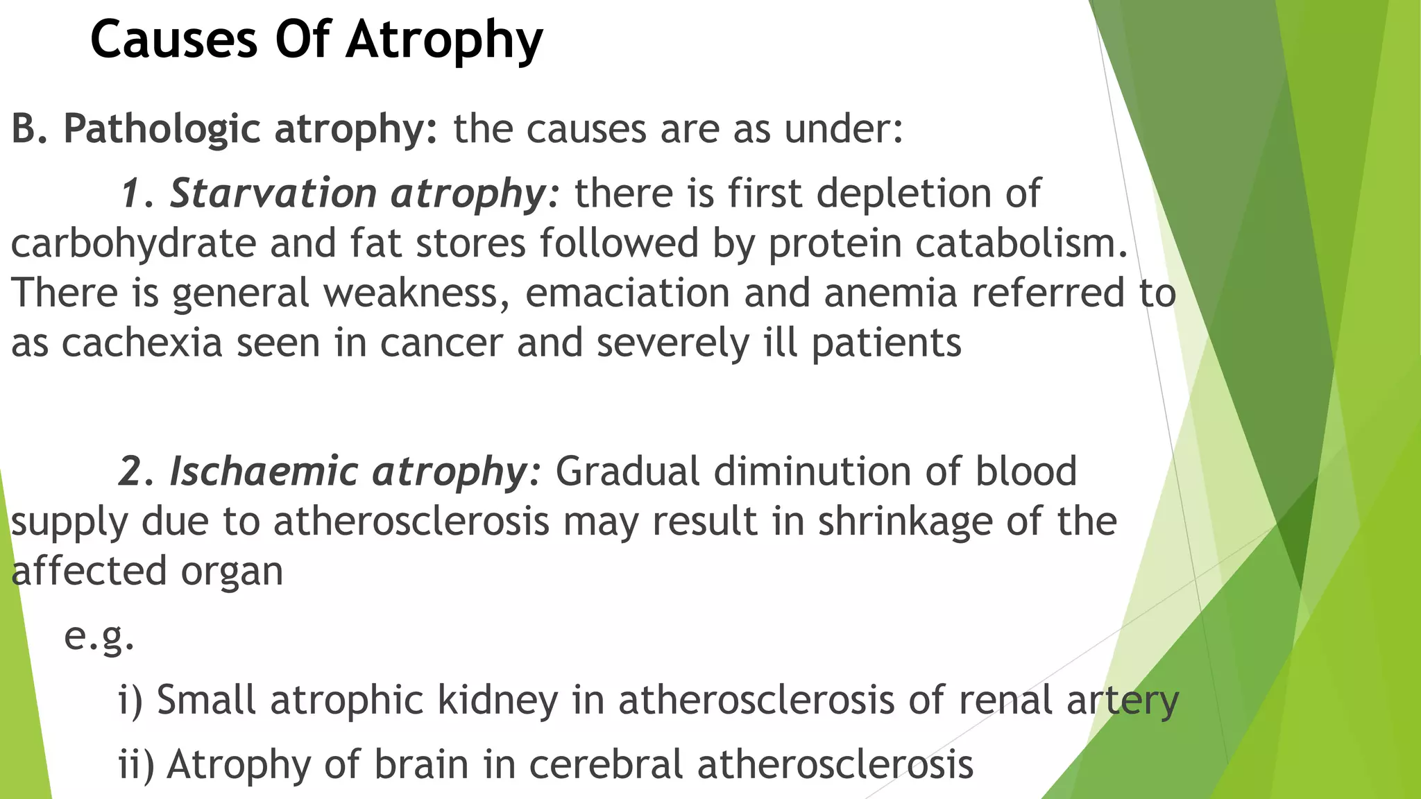 Cellular Adaptation.pptx