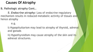 Cellular Adaptation.pptx