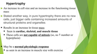 Cellular Adaptation.pptx