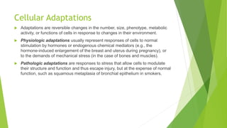 Cellular Adaptation.pptx