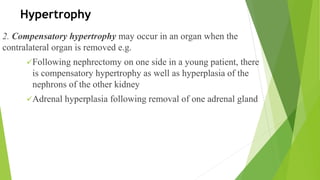 Cellular Adaptation.pptx