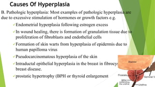 Cellular Adaptation.pptx