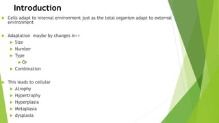 Cellular Adaptation.pptx