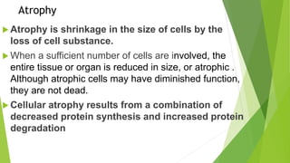 Cellular Adaptation.pptx