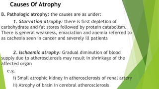 Cellular Adaptation.pptx