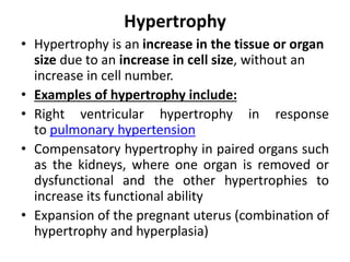 Cellular Adaptation.pptx for the purpose of BSN | PPT