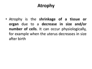 Cellular Adaptation.pptx for the purpose of BSN | PPT