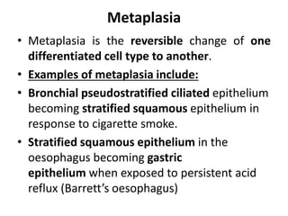 Cellular Adaptation.pptx for the purpose of BSN | PPTX