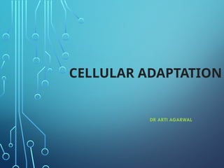 cellular adaptation physiological changes .pptx