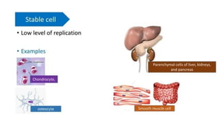Cellular adaptation with types and example.pptx