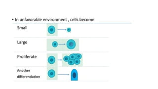 Cellular adaptation with types and example.pptx