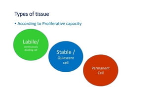 Cellular adaptation with types and example.pptx