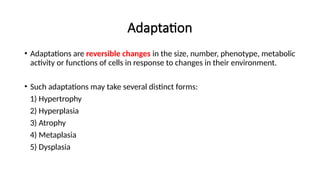 Cellular adaptation features and examples | PPTX