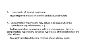 Cellular adaptation features and examples | PPTX