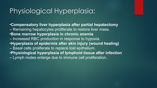 Cellular Adaptation mechanism in pathology metaplasia atrophy ppt | PPTX