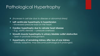 Cellular Adaptation mechanism in pathology metaplasia atrophy ppt | PPTX