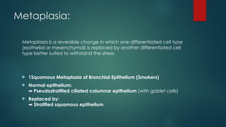 Cellular Adaptation mechanism in pathology metaplasia atrophy ppt | PPTX