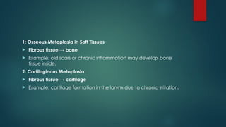 Cellular Adaptation mechanism in pathology metaplasia atrophy ppt | PPTX