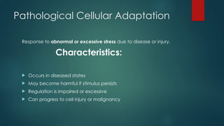 Cellular Adaptation mechanism in pathology metaplasia atrophy ppt | PPTX