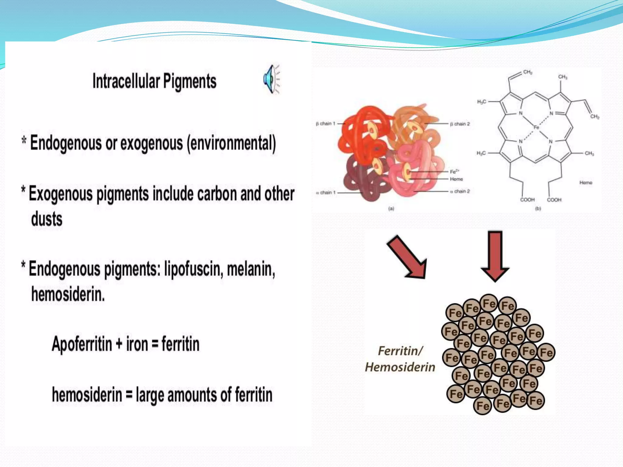 Cellular adaptation | PPTX