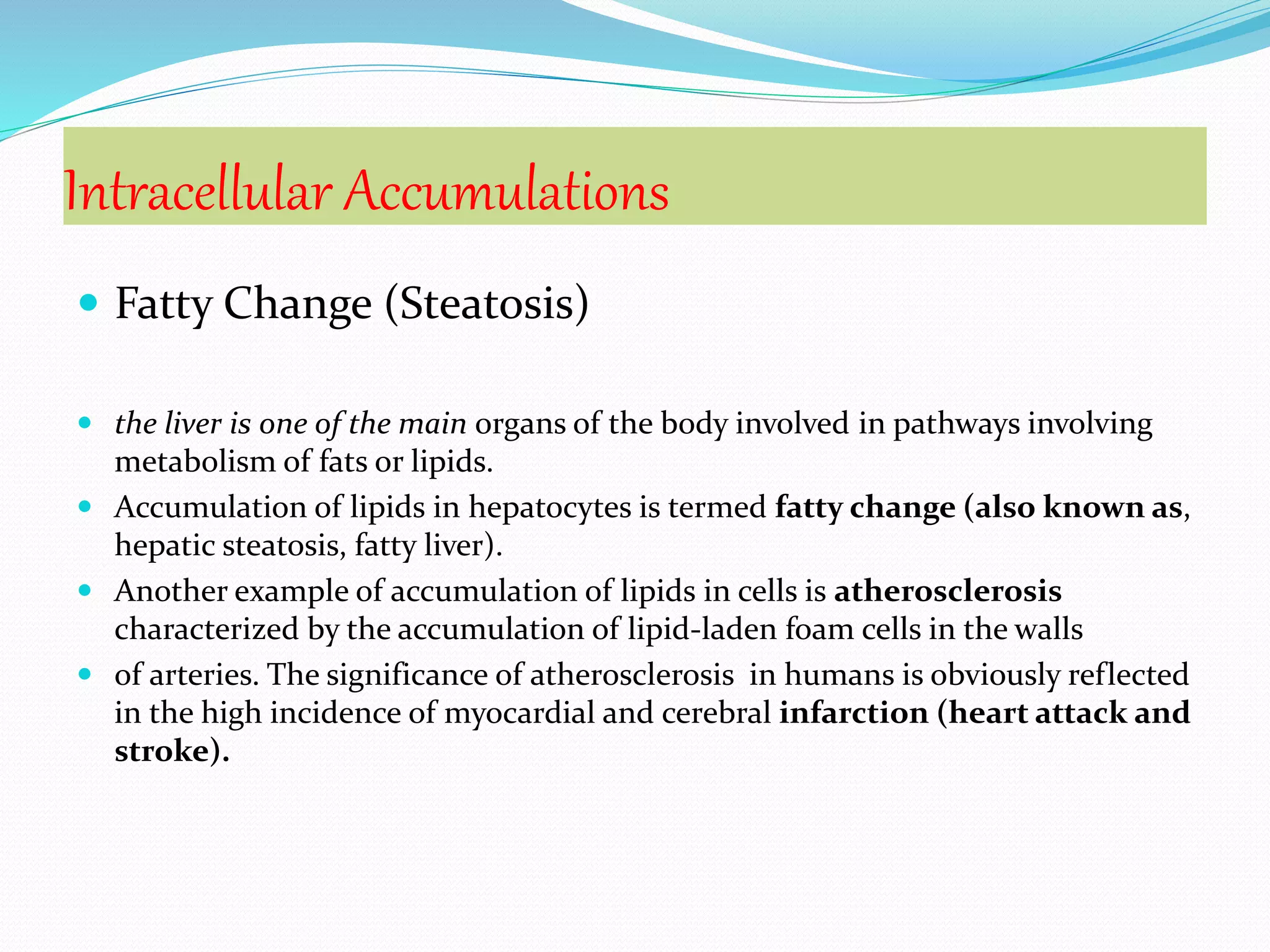 Cellular adaptation | PPTX