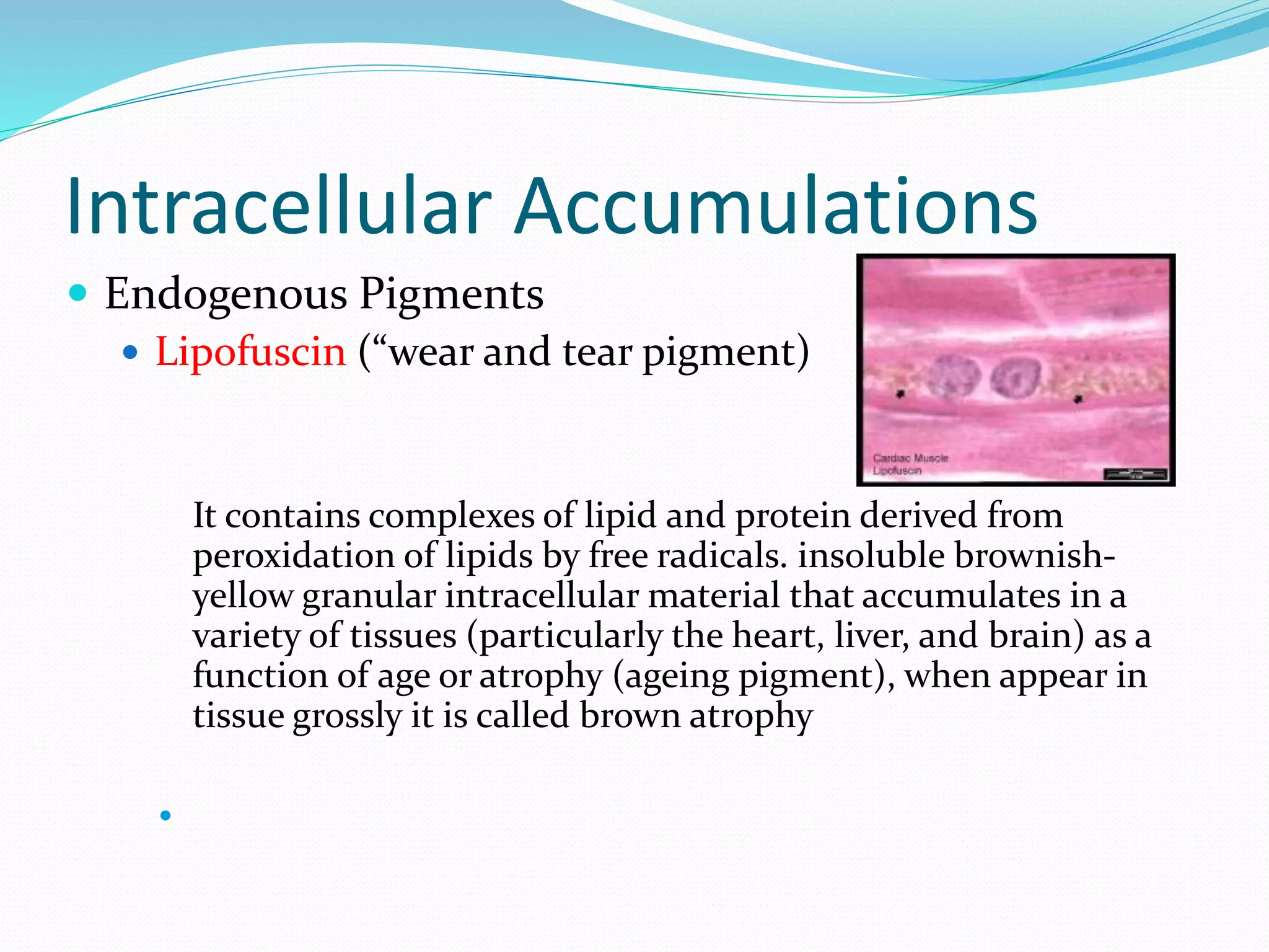 Cellular adaptation | PPTX
