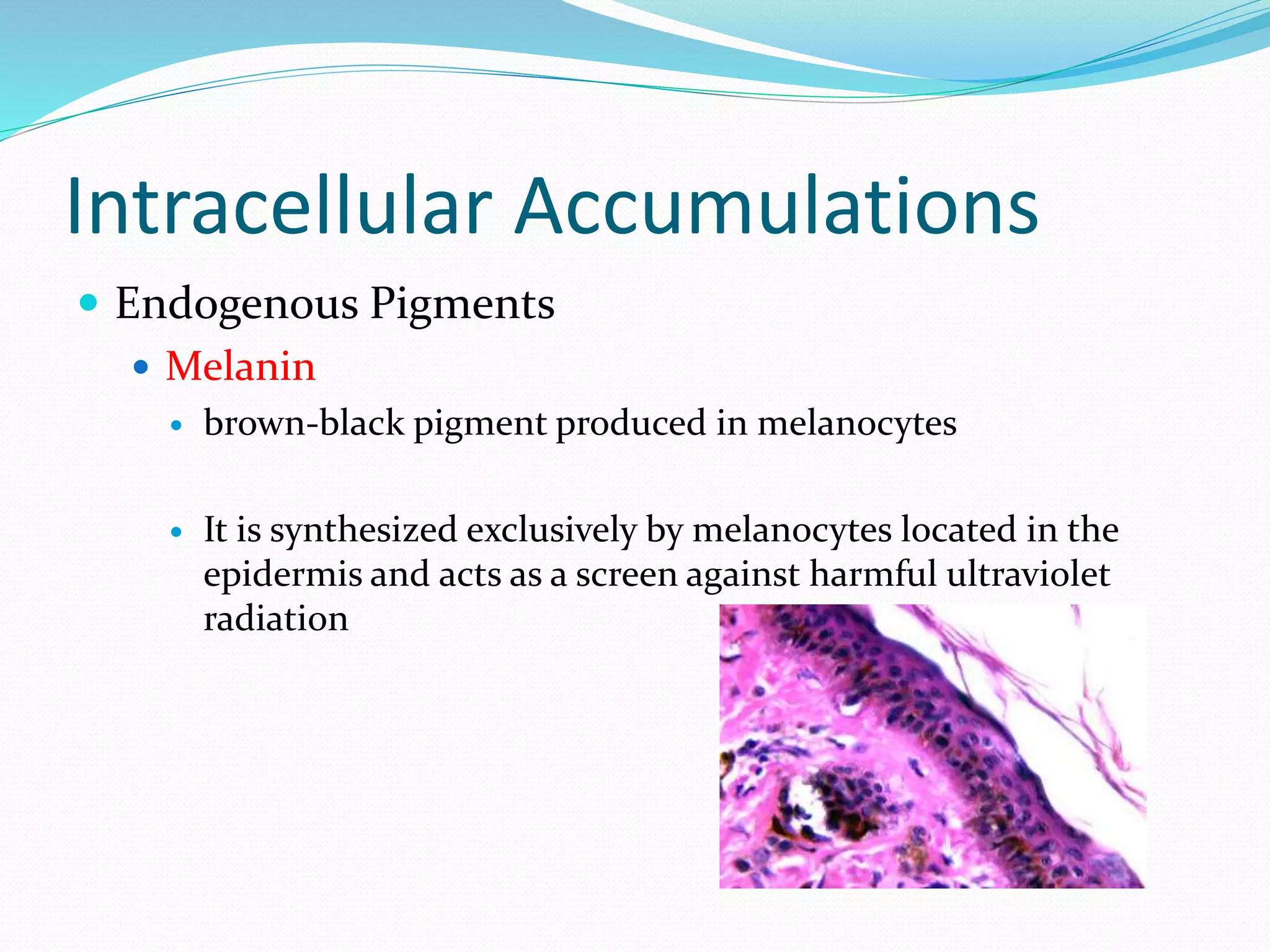 Cellular adaptation | PPTX