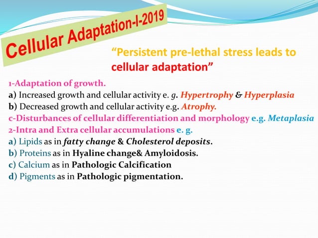 Cellular adaptation | PPT