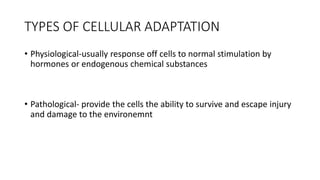 CELLULAR ADAPTATION AND ABERRANT CELL GROWTH [Autosaved].pptx