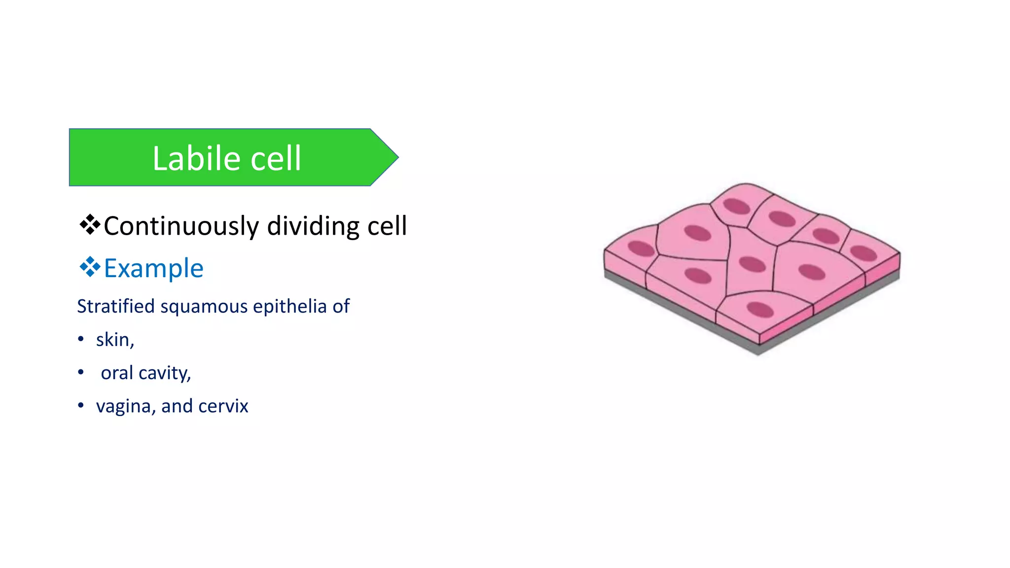 Cellular adaptation | PPTX