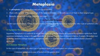 Cellular adaptations by NOM KUMAR NAIK | PPTX