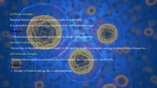 Cellular adaptations by NOM KUMAR NAIK | PPT