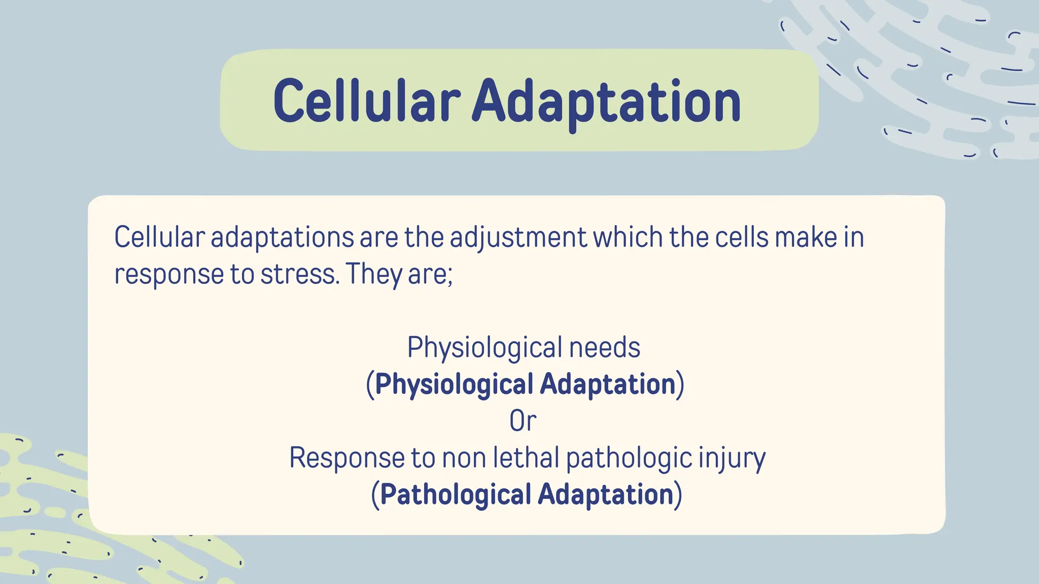 Cellular Adaptation & Cell Injury - Pathology | PDF