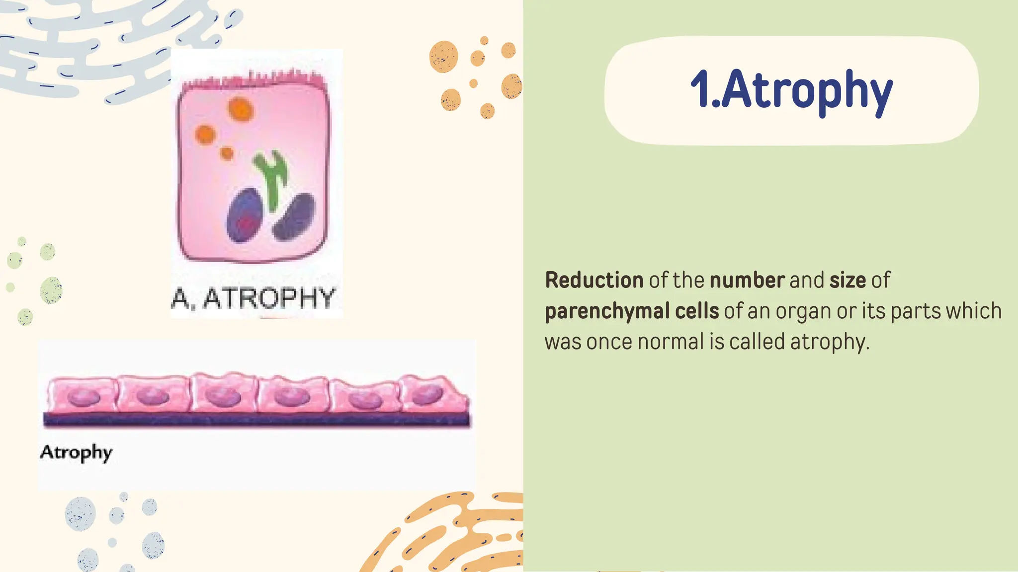 Cellular Adaptation & Cell Injury - Pathology | PDF