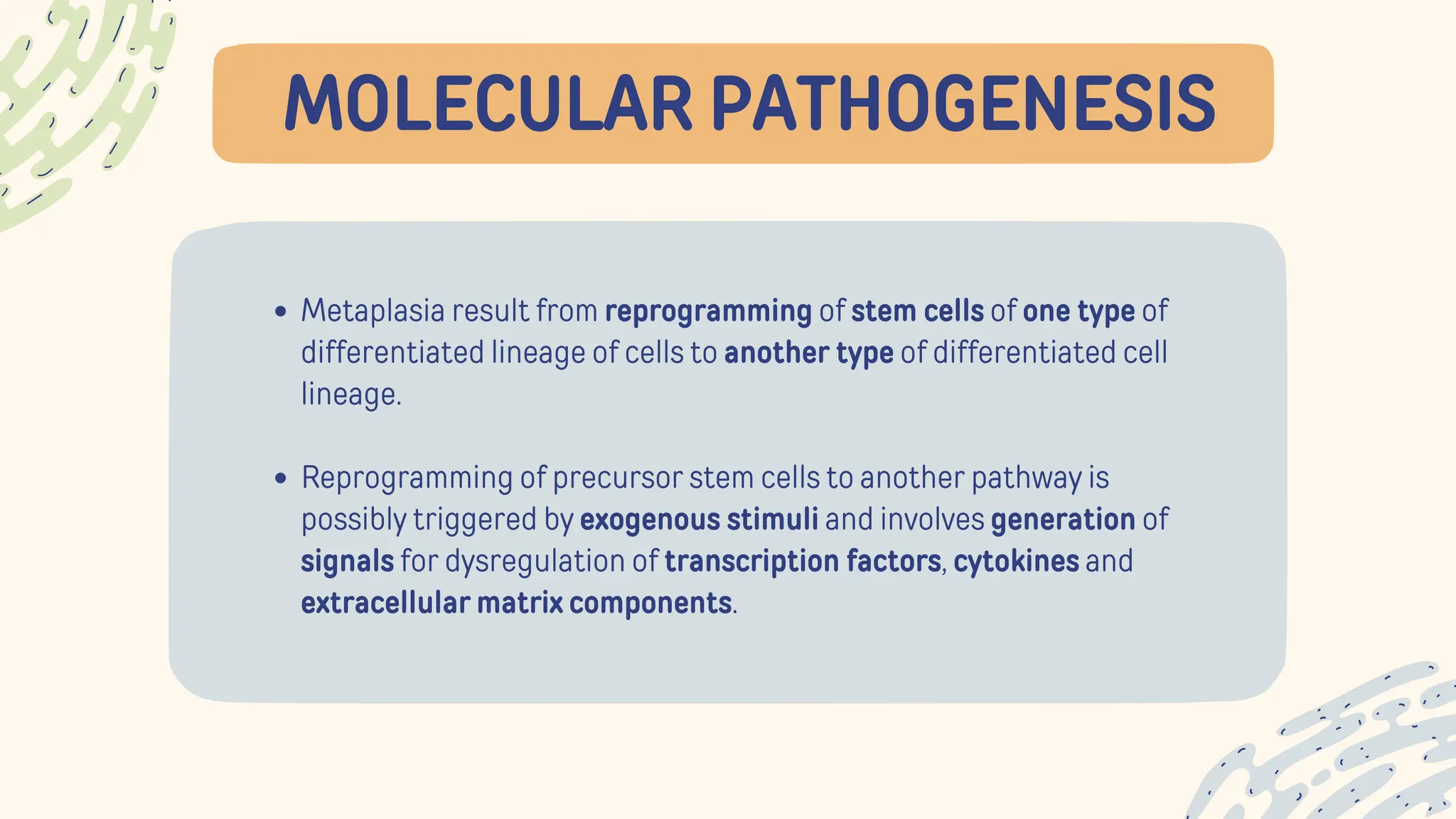 Cellular Adaptation & Cell Injury - Pathology | PDF | Biological ...