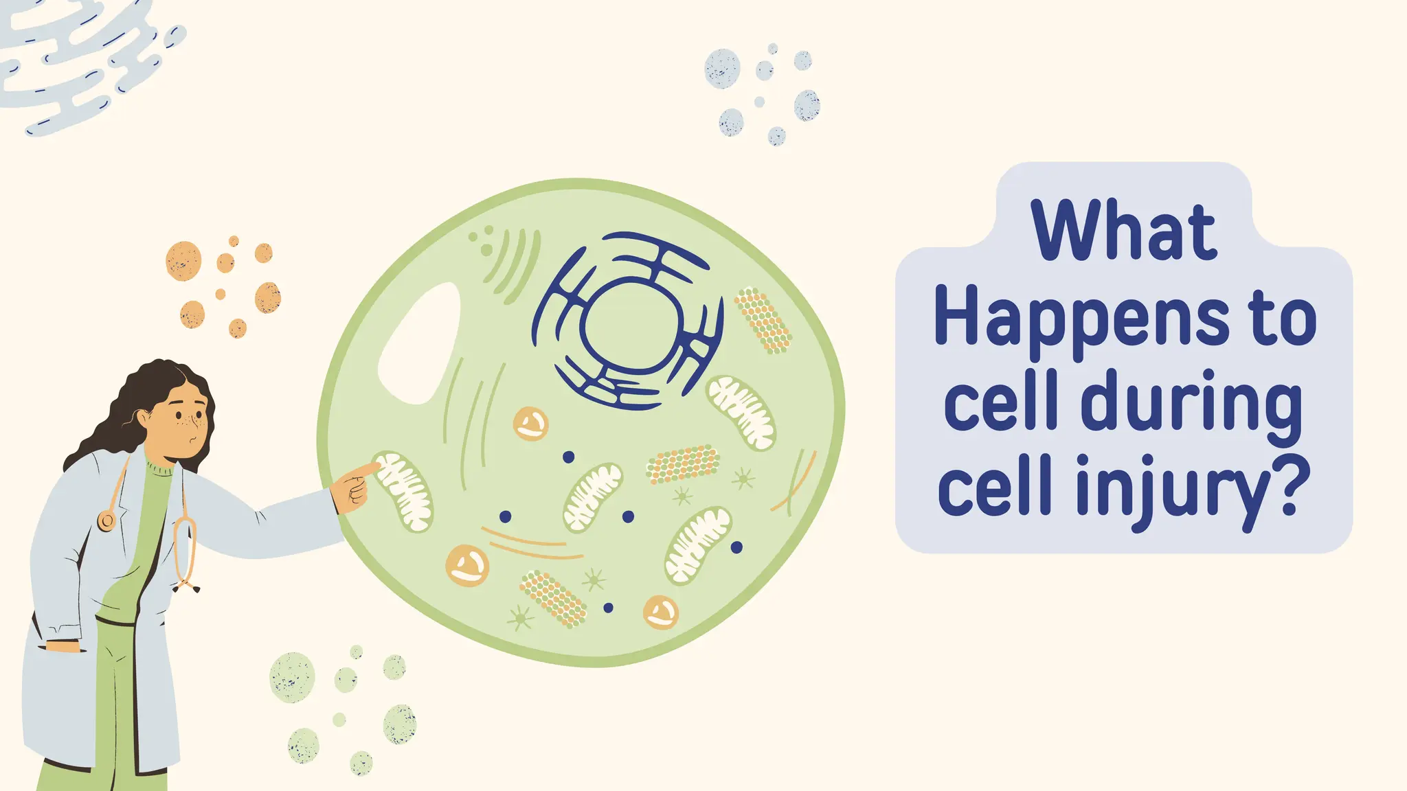 Cellular Adaptation & Cell Injury - Pathology | PDF