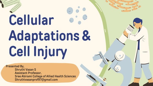 Cellular Adaptation & Cell Injury - Pathology | PDF | Biological ...