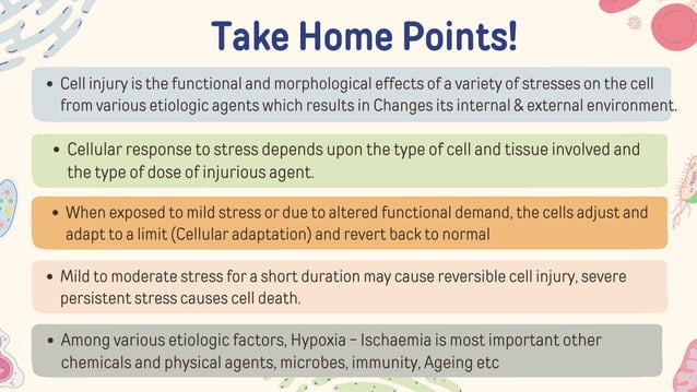 Cellular Adaptation & Cell Injury - Pathology | PDF | Biological ...