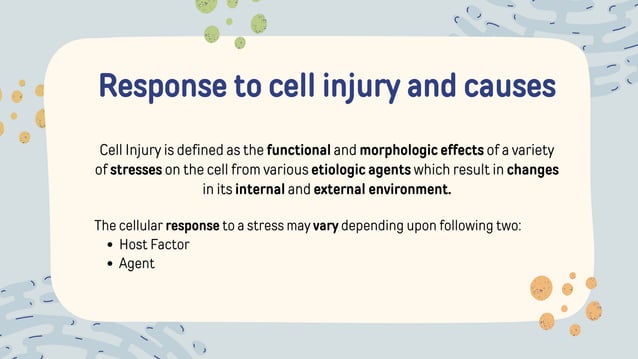 Cellular Adaptation & Cell Injury - Pathology | PDF | Biological ...