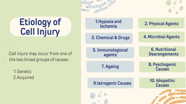 Cellular Adaptation & Cell Injury - Pathology | PDF | Biological ...