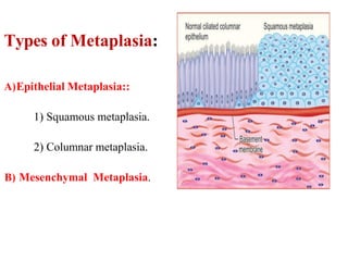 Cellular_adaptation_dr_AMAL_D_&_T_DR_AMAL_2023_lecture.pdf
