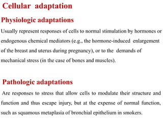 Cellular_adaptation_dr_AMAL_D_&_T_DR_AMAL_2023_lecture.pdf