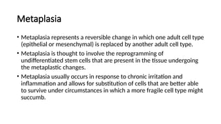 Cellular Adaptation, injury and death.pptx | Heart and Cardiovascular ...