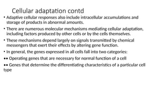 Cellular Adaptation, injury and death.pptx