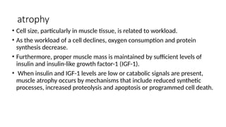 Cellular Adaptation, injury and death.pptx