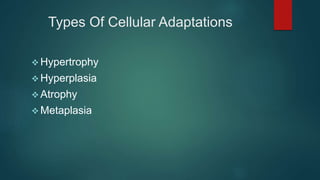 Cellular adaptations | PPT
