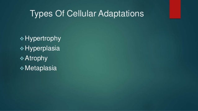 Cellular adaptations